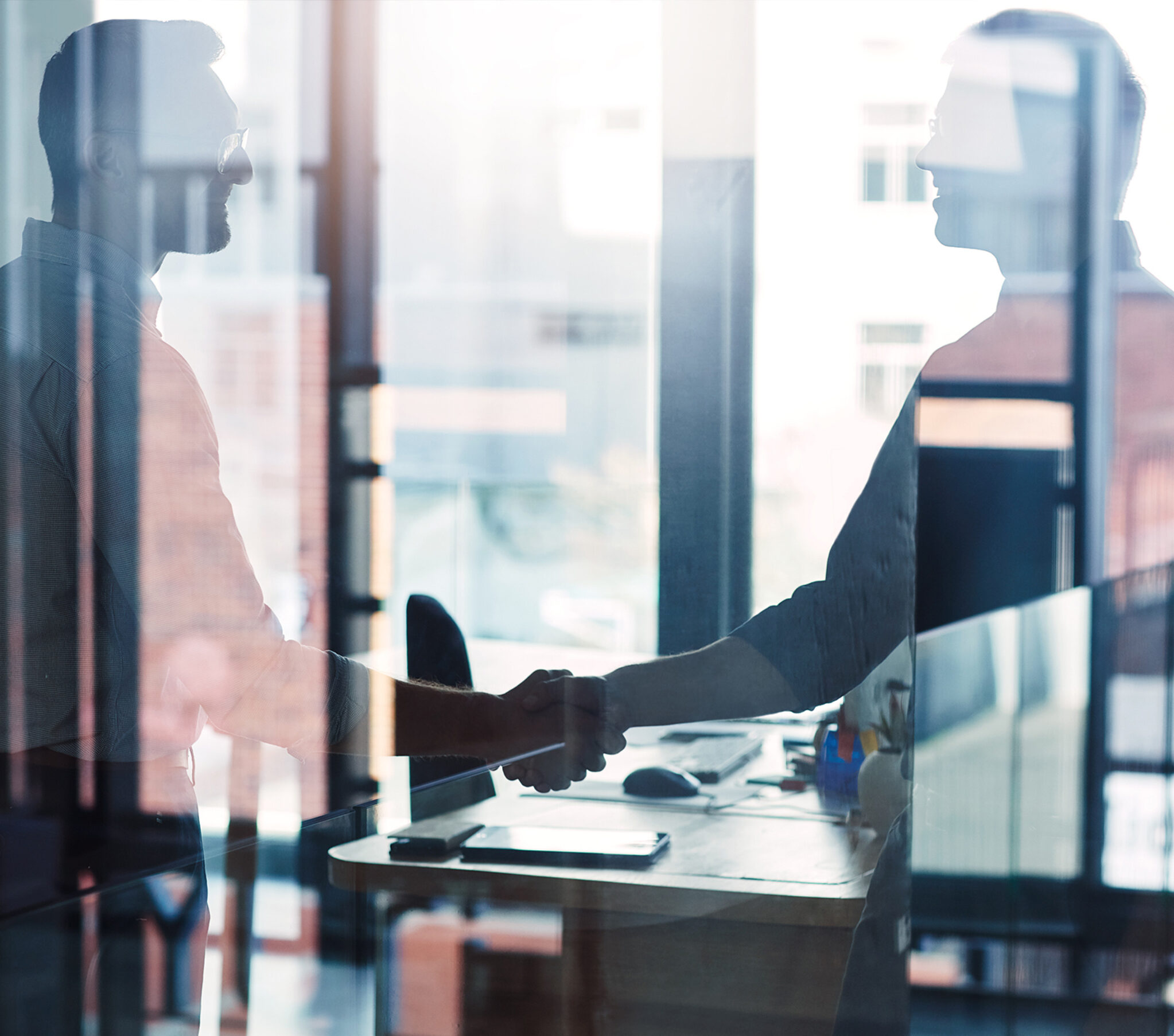 Demo/Contact Form Success | Adhesion Wealth